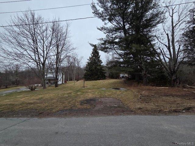 Tbd State Route 52, White Sulphur Springs, NY 12787