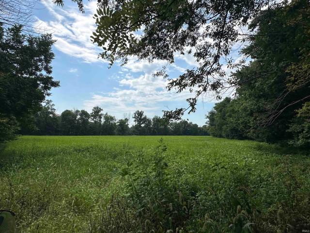 Tbd State Road 161