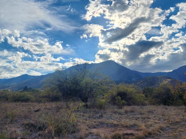 Tbd Stickler, Unit A, Hereford, AZ 85615 | MLS #6951 | Compass
