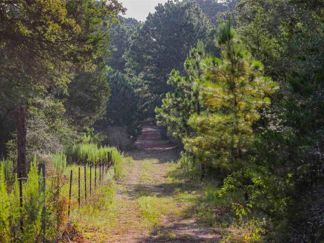 TBD Stiewert Lane