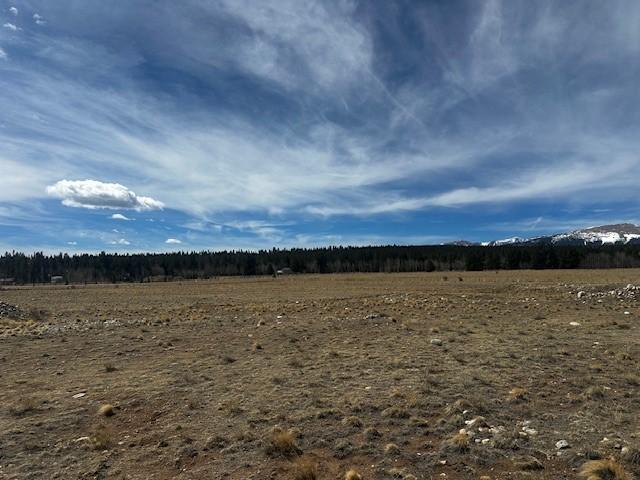 Tbd Stone Creek Dr, Fairplay, CO 80440 | MLS #S1067