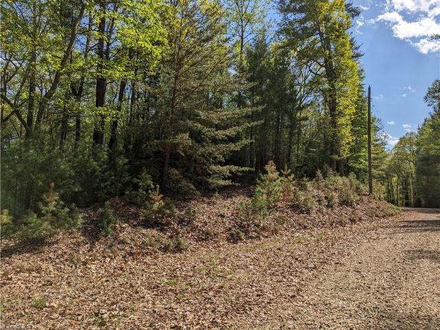 TBD Sutters Ridge Road #Lot 94