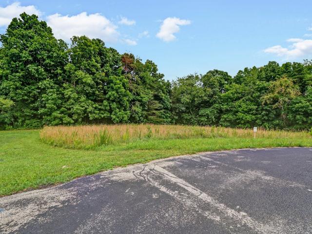 Tbd Suzie Ct