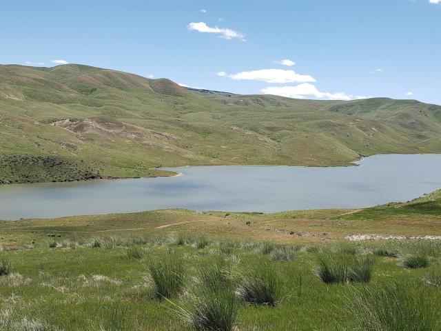 TBD Succor Creek Reservoir