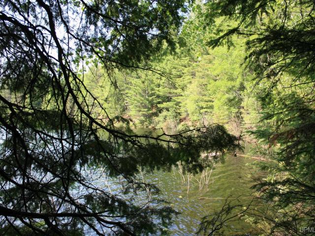TBD Sucker Lake Road