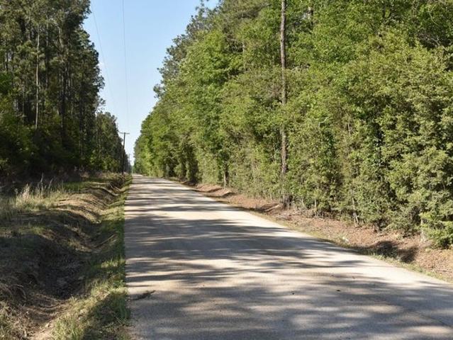 Tbd Sullivent Rd, Loranger, LA 70446