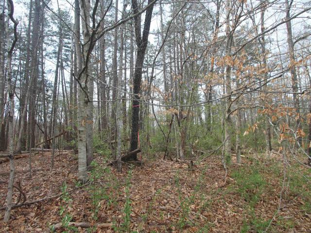 Tbd sulphur mine rd