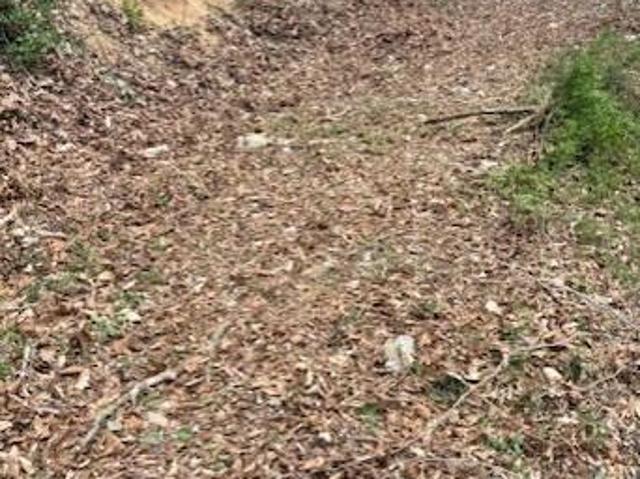 Tbd Sulphur Springs Road