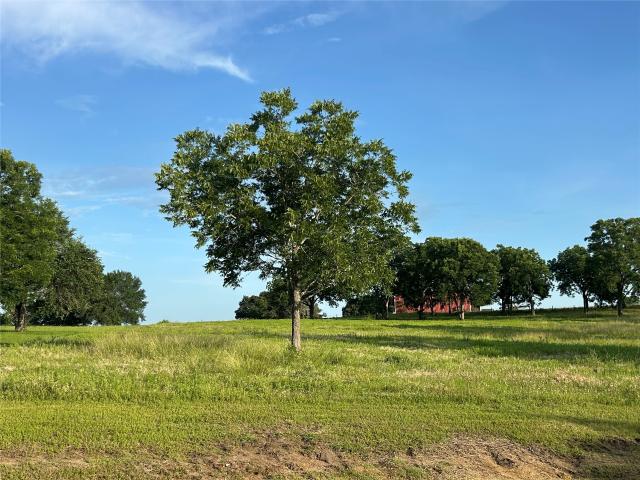 TBD Sunshine Court