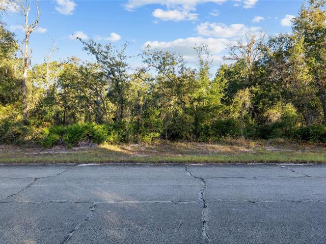 Tbd SW 174th Pl, Ocala, FL 34473 | MLS #OM720795