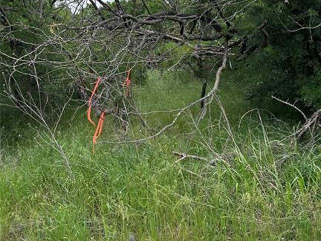 Tbd SW 2320, Wortham, TX 76693 | MLS #21248