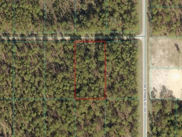 Tbd Sw 75th St Lot 8, Dunnellon, FL 34432