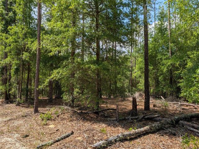 Tbd SW 93rd Ln, Dunnellon, FL 34431 | MLS #OM699779