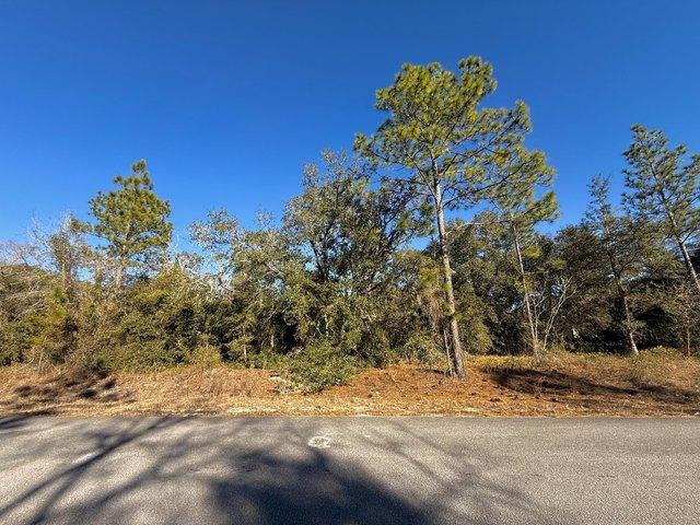 Tbd Sw Lobelia Ct Lot 35, Dunnellon, FL 34431
