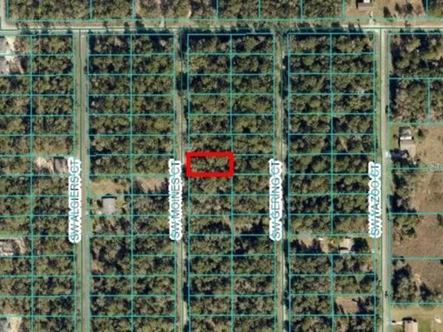Tbd Sw Moines Ct, Dunnellon, FL 34431