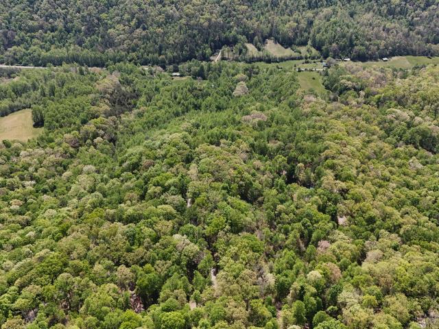 Tbd Swinging Bridge Road