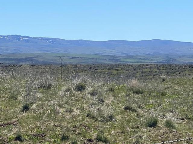 Tbd P 8 Indian Valley Rd, Indian Valley, ID 83632