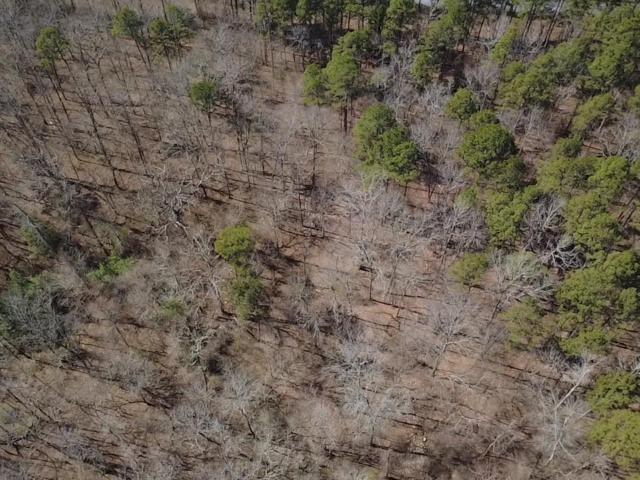 Tbd polk rd 125