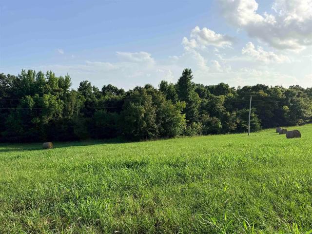 TBD Polk Rd 301