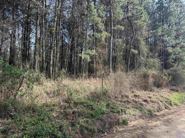 TBD Polk Road 13