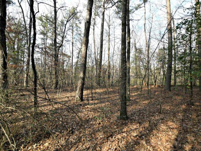 TBD Polk Road 95