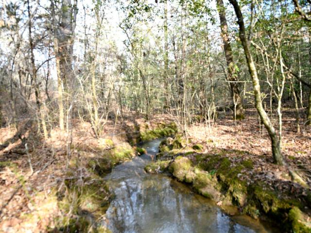 TBD Polk Road 95