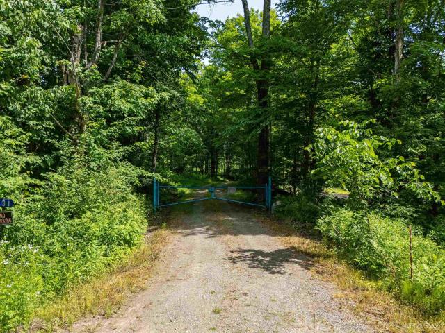 TBD Pollack Road