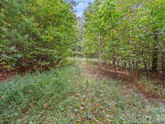 TBD Pond Road
