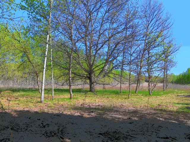 TBD Poplar Lane