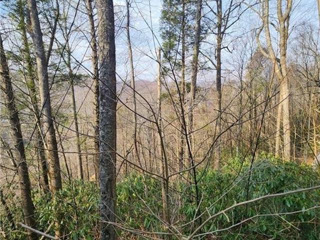TBD Poplar Ridge Road