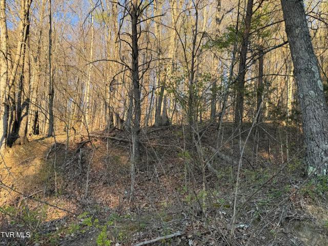 Tbd Possum Hollow Road