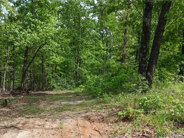 TBD Possum Trot Road