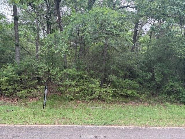 Tbd Post Oak Dr E # 2, Hilltop Lakes, TX 77871