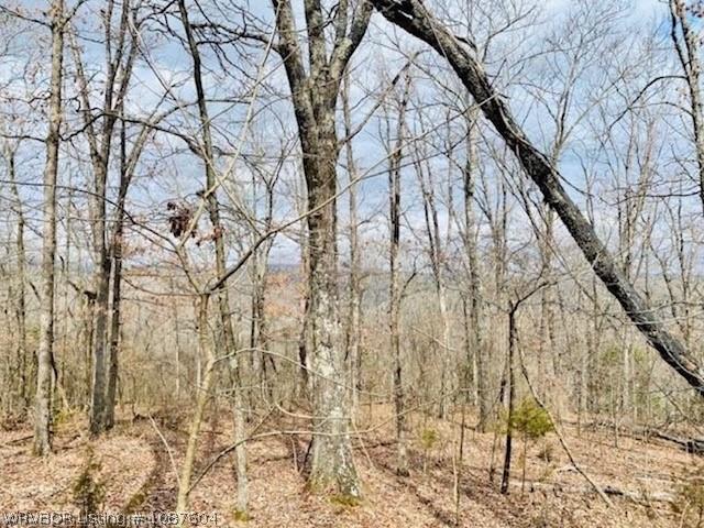 TBD Pawpaw Branch Road