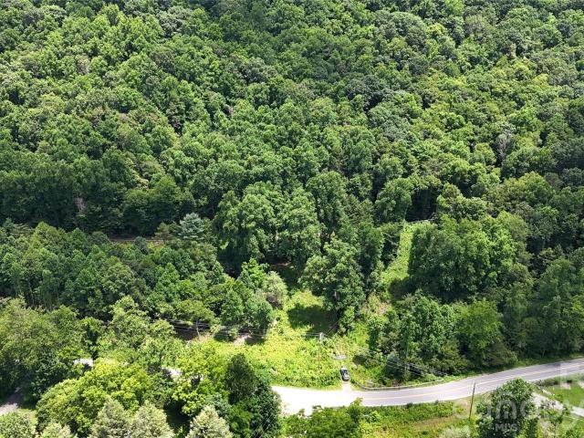 TBD Paint Fork Road