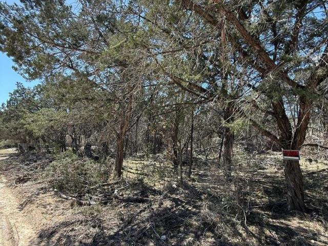 Tbd Paladin, Bandera, TX 78003 | MLS #1848