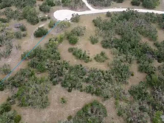 Tbd Palomino Oaks Dr, Harper, TX 78631 MLS 9423396