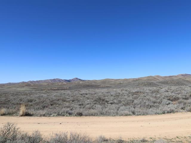 TBD Palomino Road