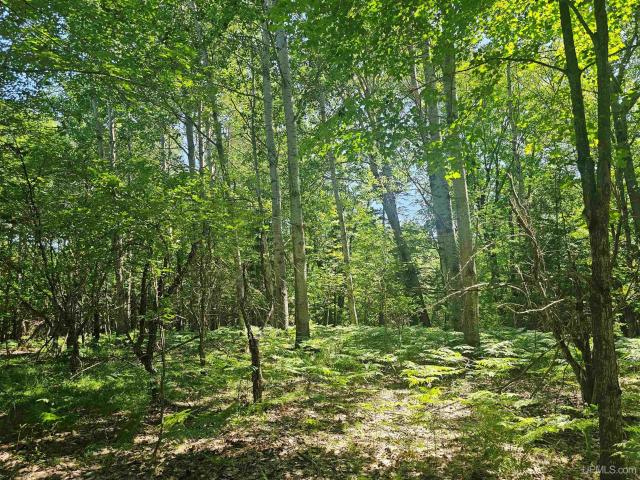 TBD Parcel M17 Applewood Drive