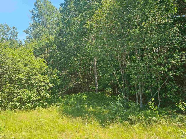 TBD Parcel M24 River Trails Road