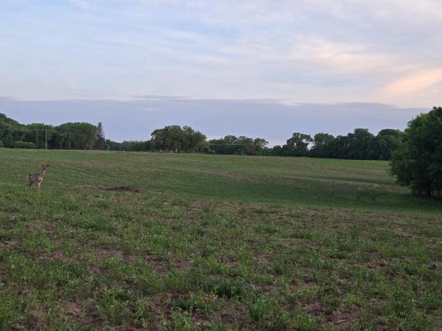 TBD Parcel A County Rd 5 NW