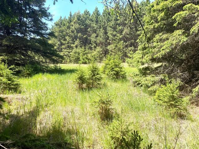 TBD Parcel C Sleepy Hollow Road