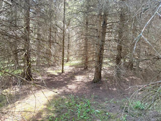 TBD Parcel D Sleepy Hollow Road