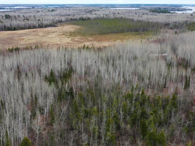 TBD Parcel 15 Hwy 115