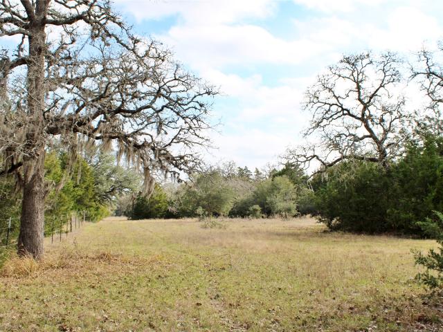 TBD Parcel 10 Lobo Lane