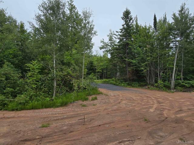 TBD Parcel 1 Townline Road