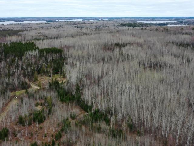 TBD Parcel 20 Hwy 115