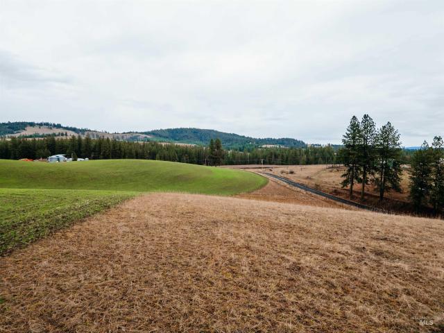 TBD Pardee Road