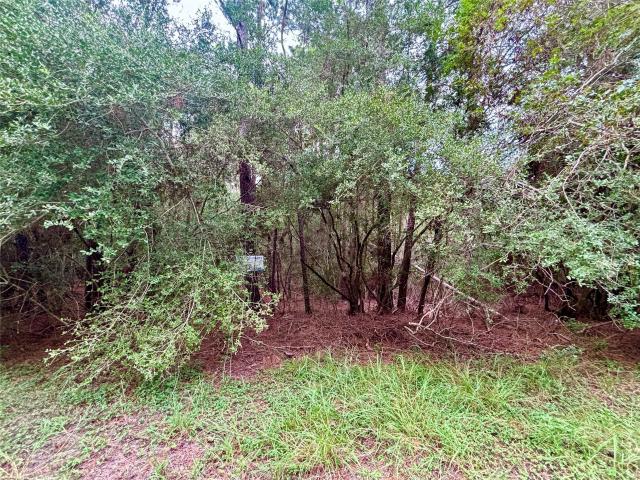 Tbd Parkview Dr, Onalaska, TX 77360 | MLS #64386