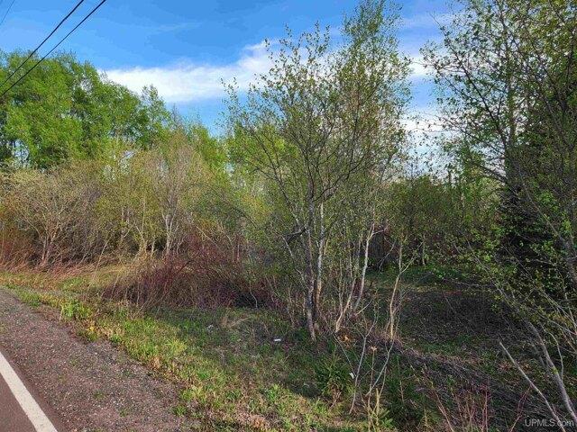 Tbd Part Millionaire St, Calumet, Plot For Sale